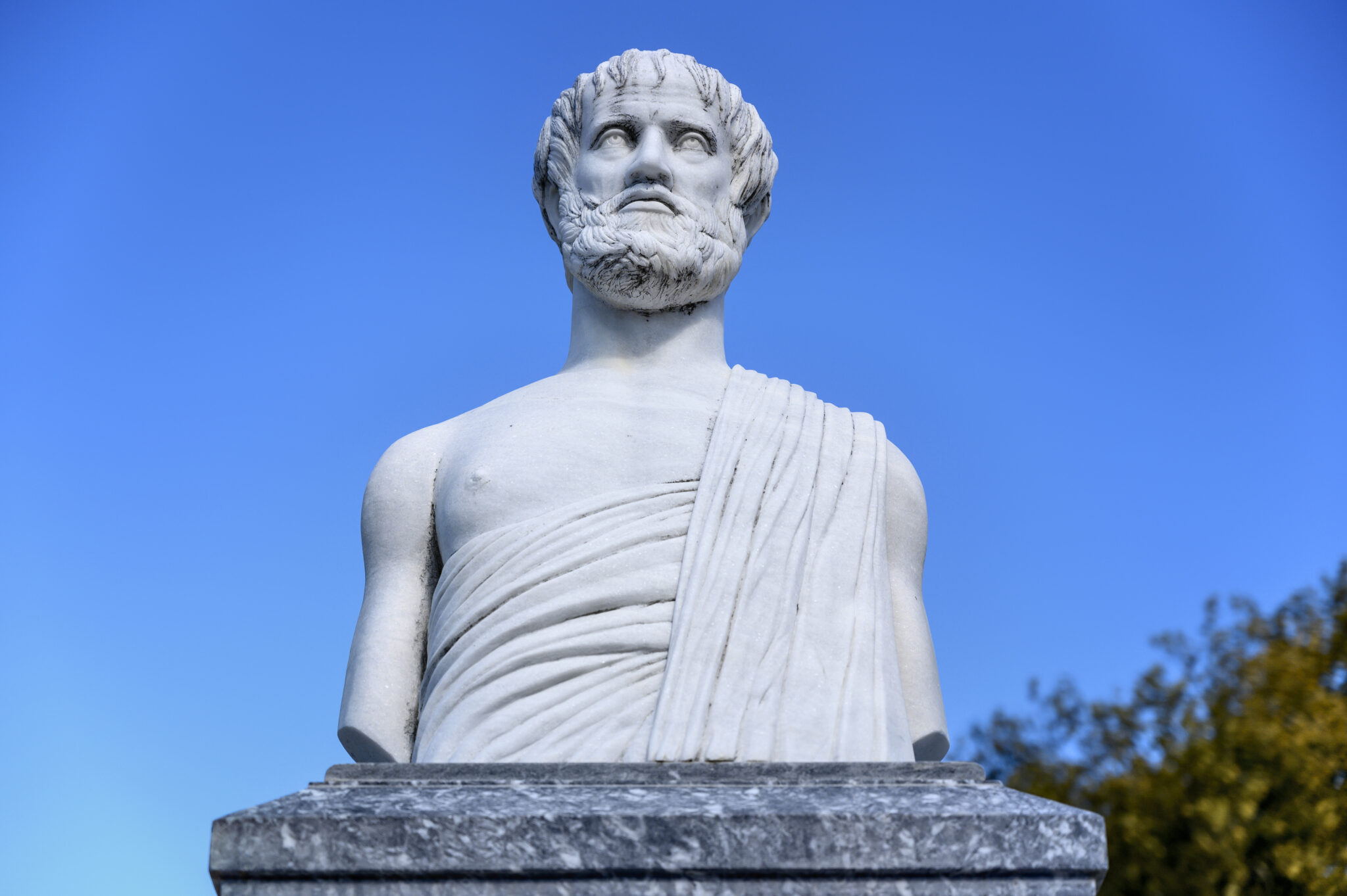 Aristote - Je pense donc je suis
